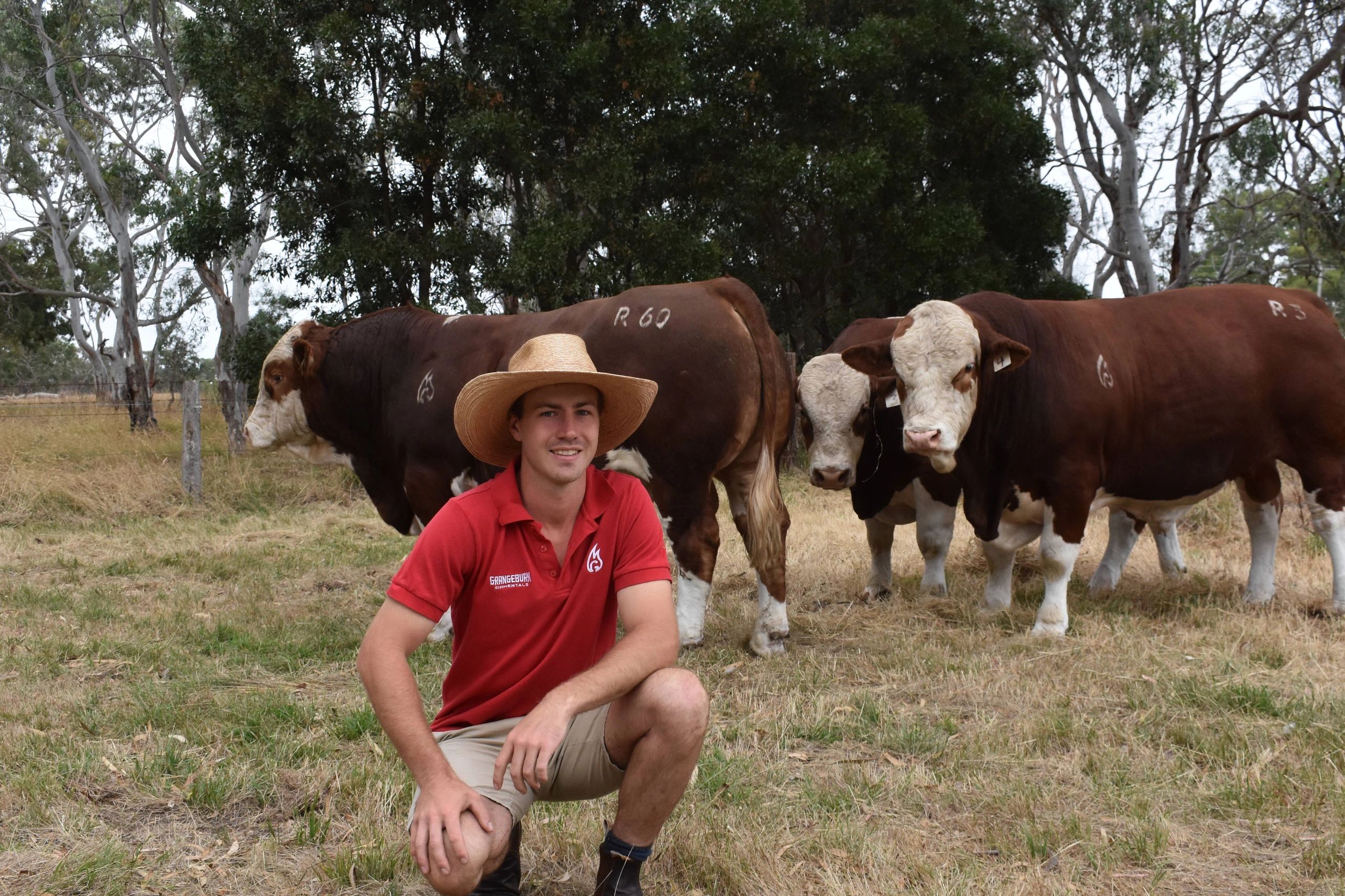 Stock & Land Beef Week a stud beef victoria event