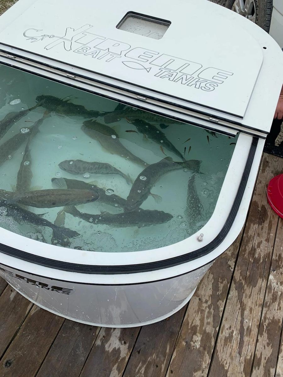 SHORT SERIES 60 GALLON (72 GALLON TOTAL) X-TREME BAIT TANK