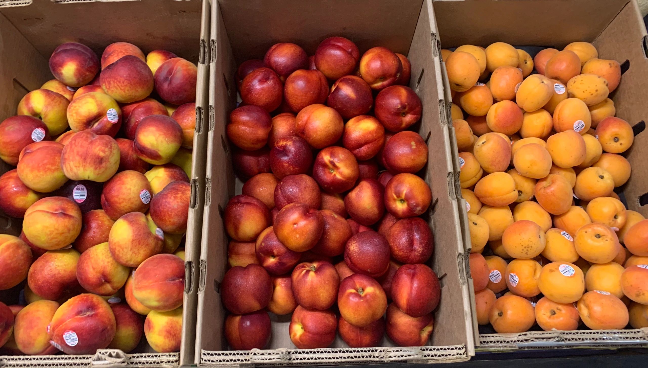 Our Vendors | Dutch Country Farmer's Market