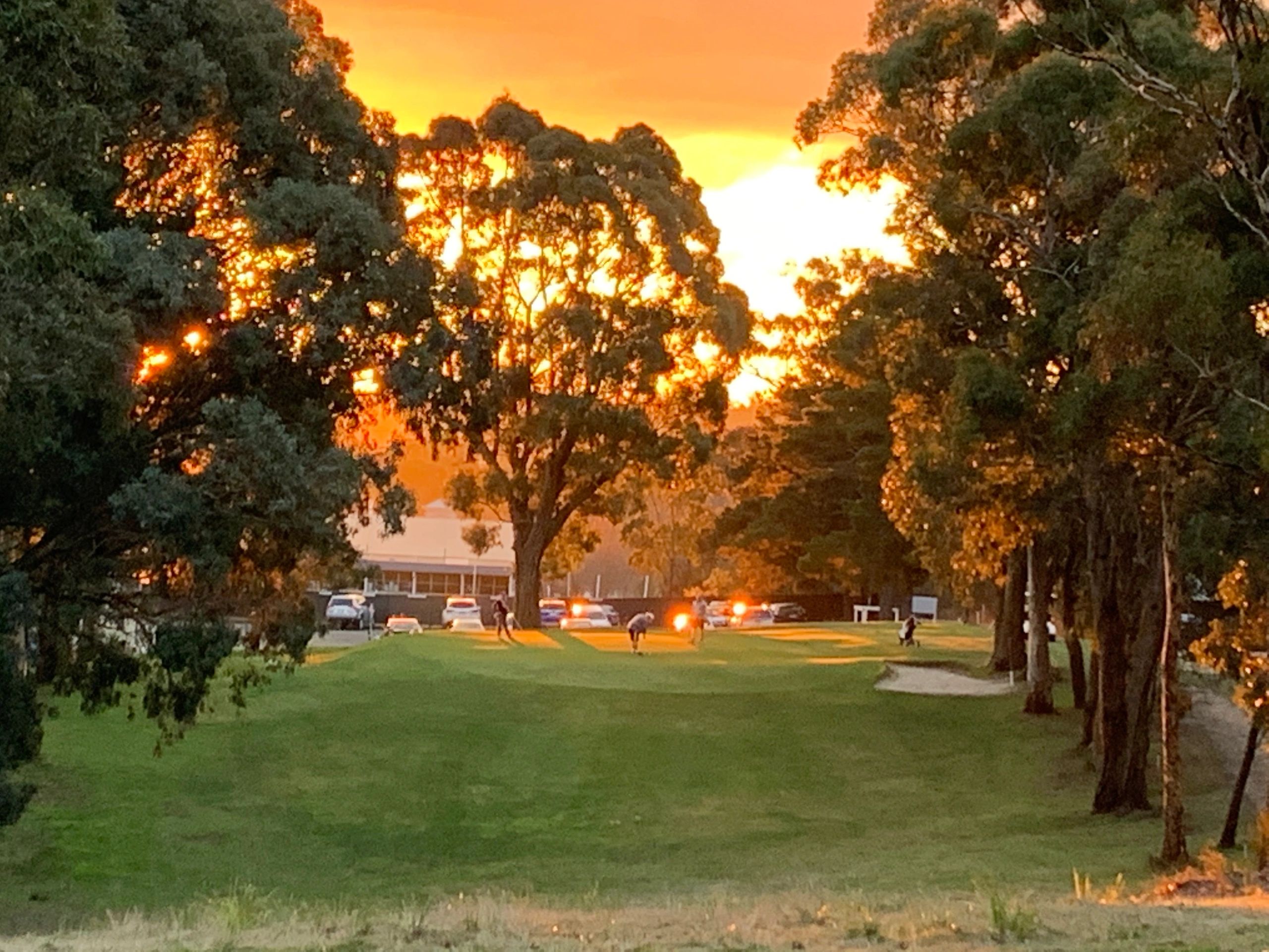 Mount Xavier Golf and Bowls Club - Home