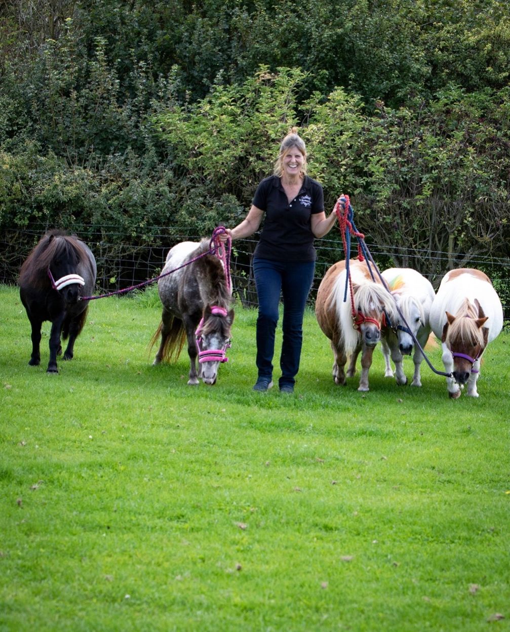The Little Shetland Company - Children, Pony Rides, Birthday, Kids