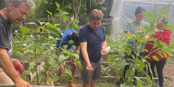 Community Service - Teen