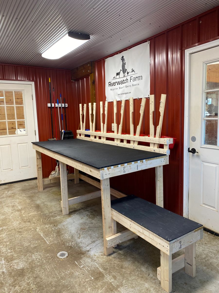 Custom Built Raised Platform Milking Stanchion for up to 6 goats