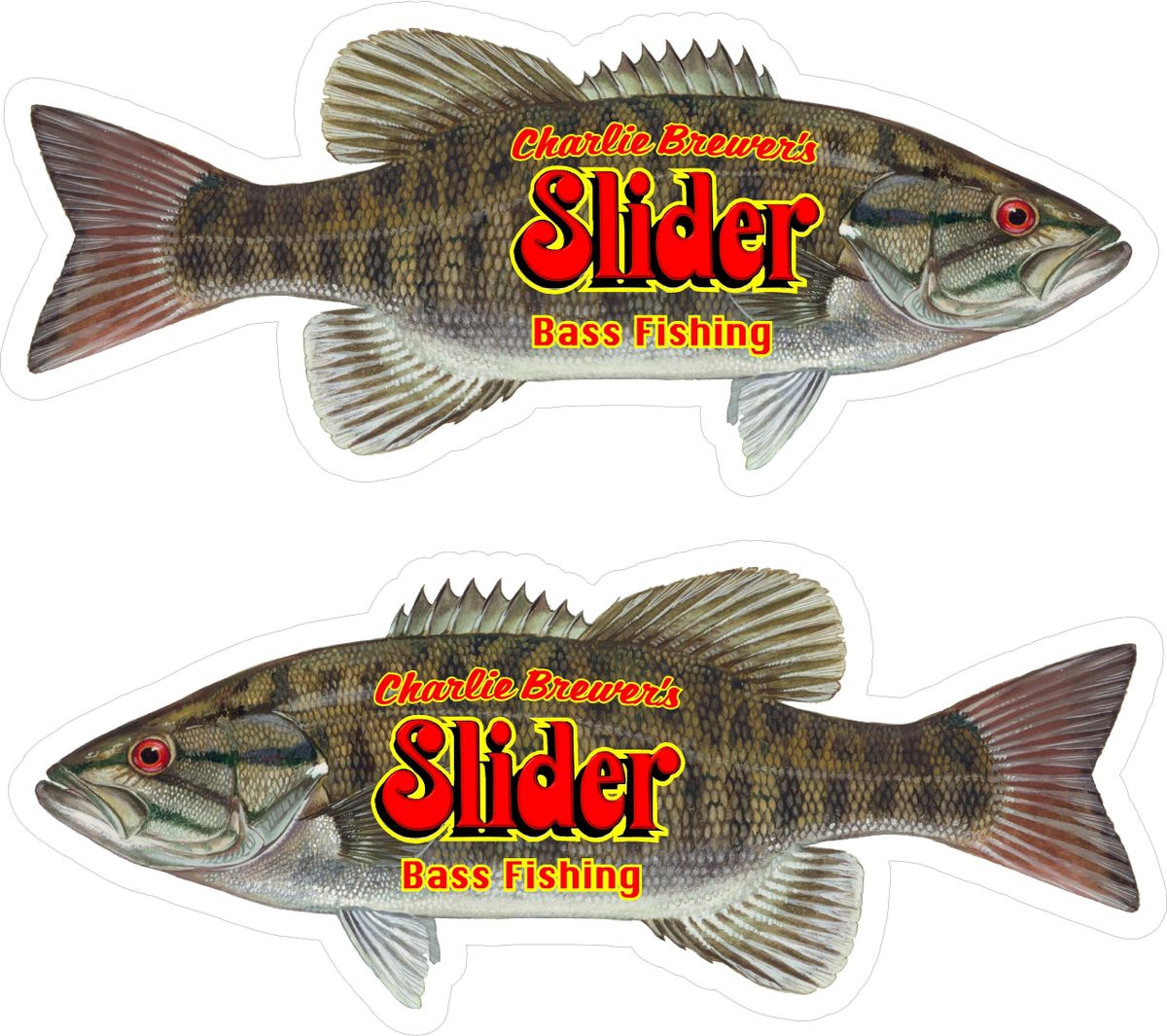 Sticker #5: Slider Two Smallmouth Bass Bumper Stickers 12"