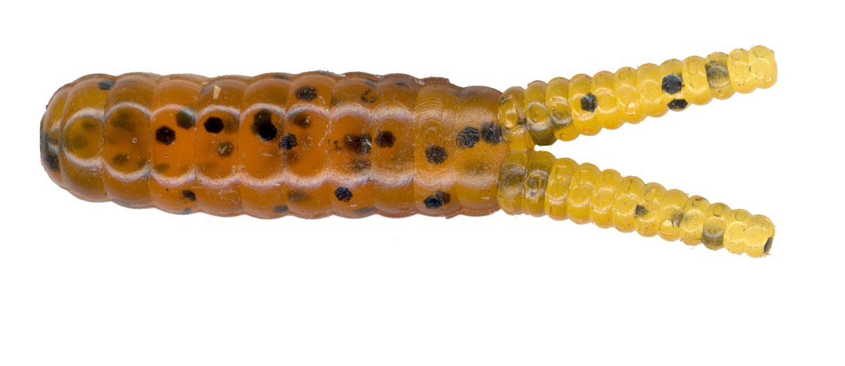 Whirly Bee Grub Apple Seed WBGG17