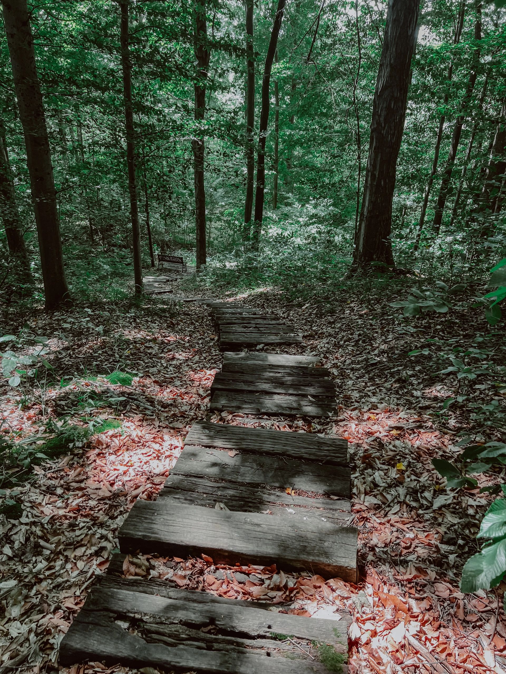 Kindest Soul Collective