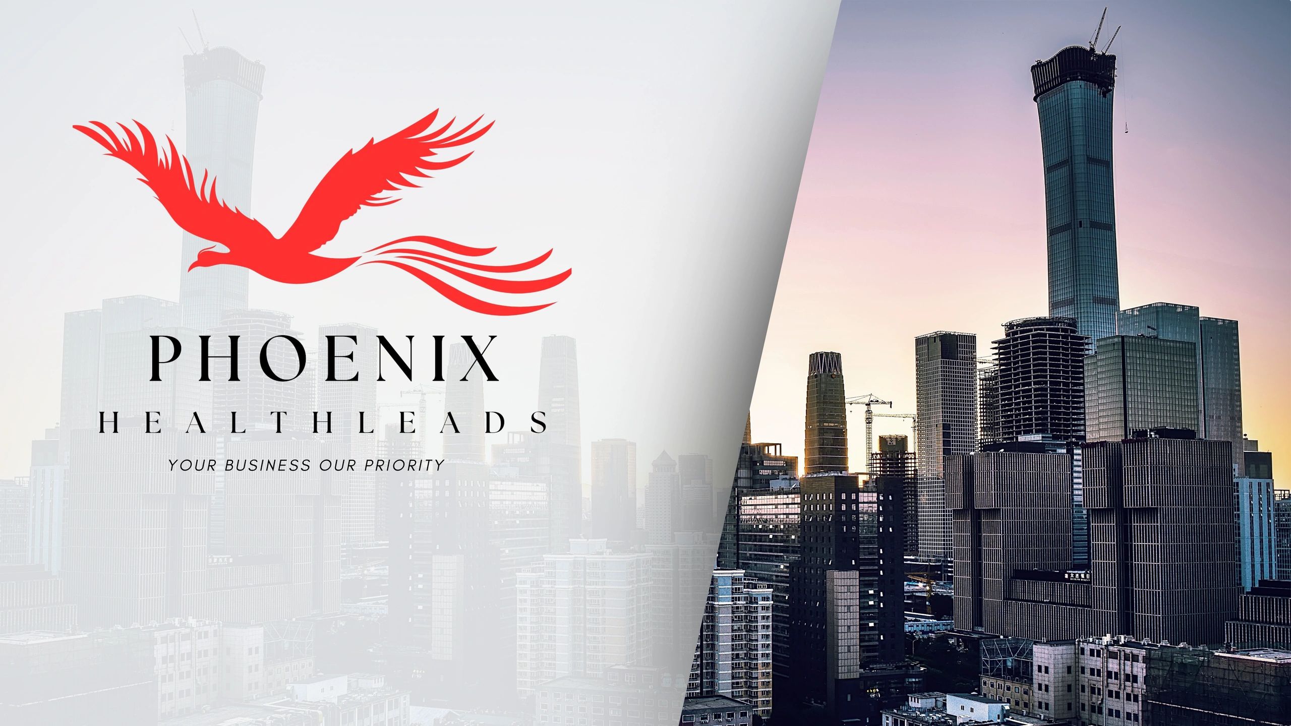 Phoenix Health Leads