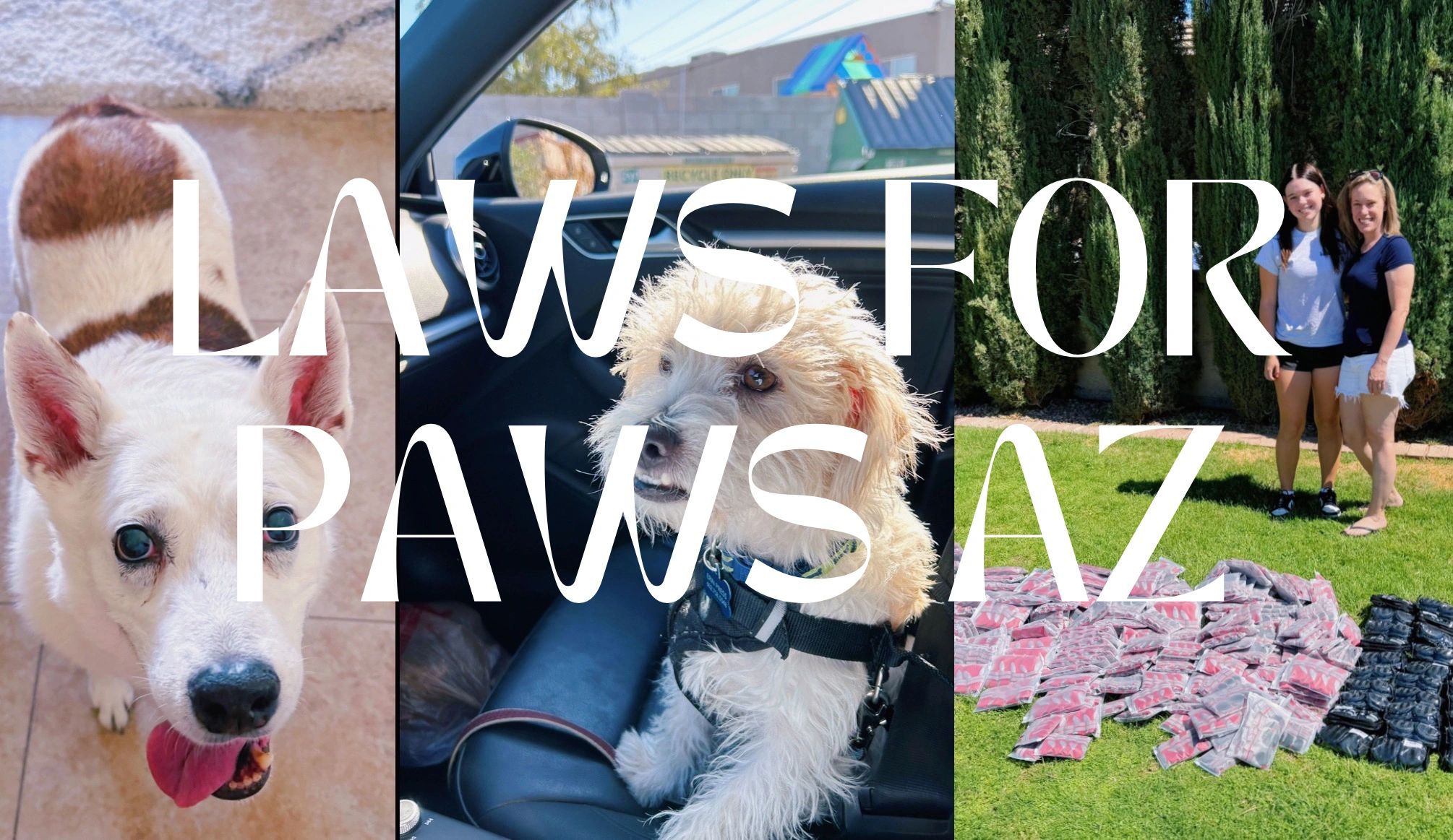Laws for Paws