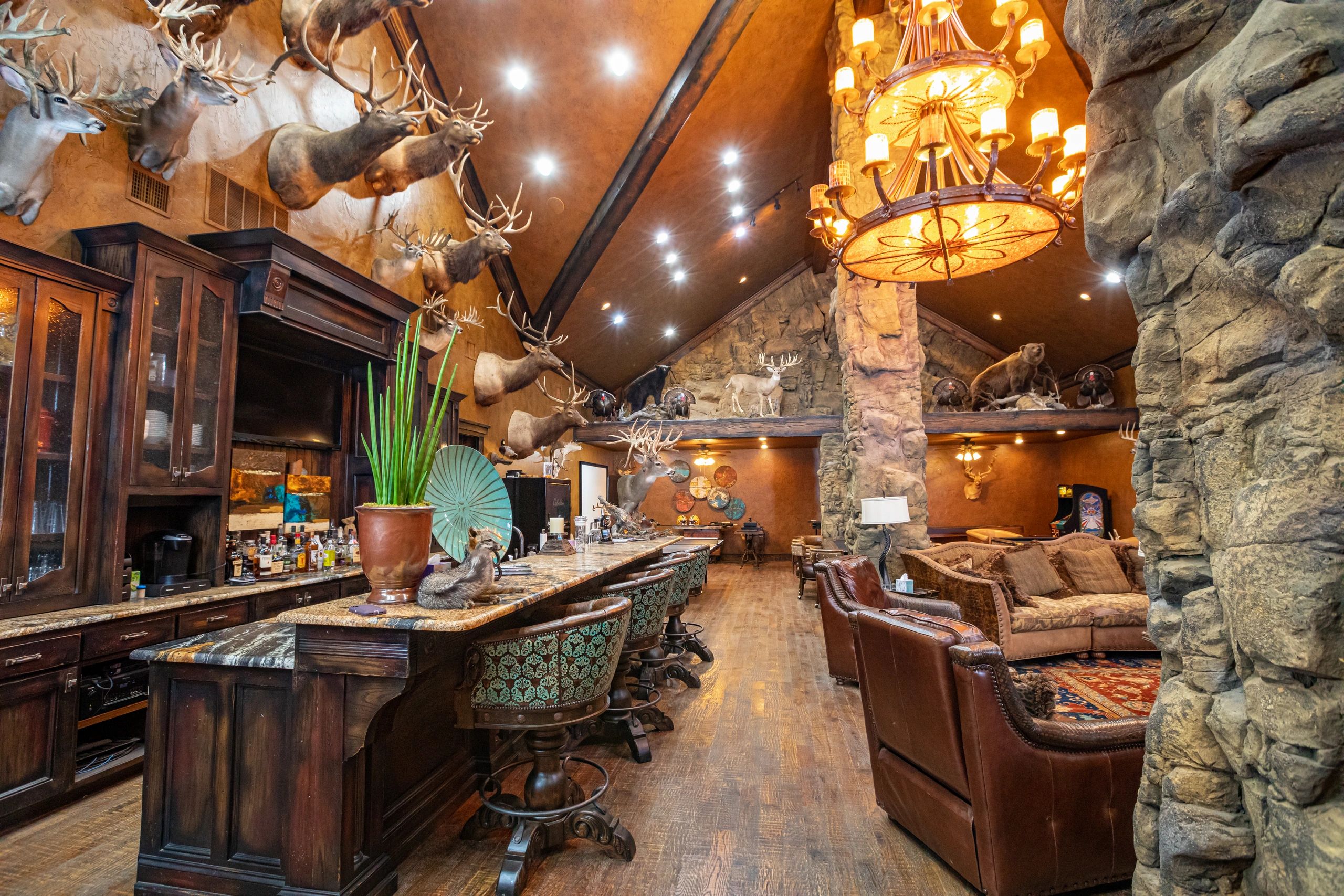 Red Stag Hunts Texas