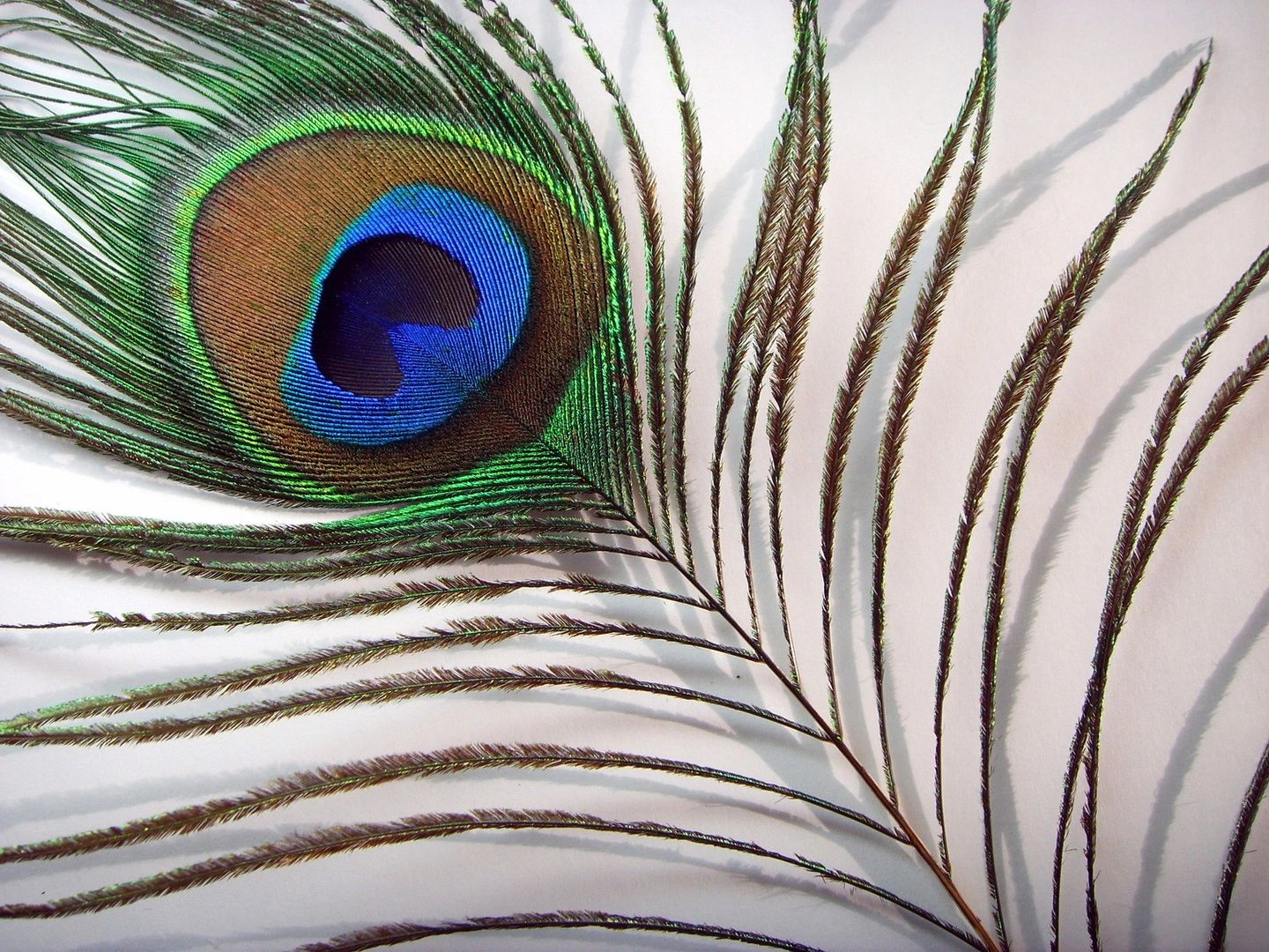 Karla L Justice CPA, PC