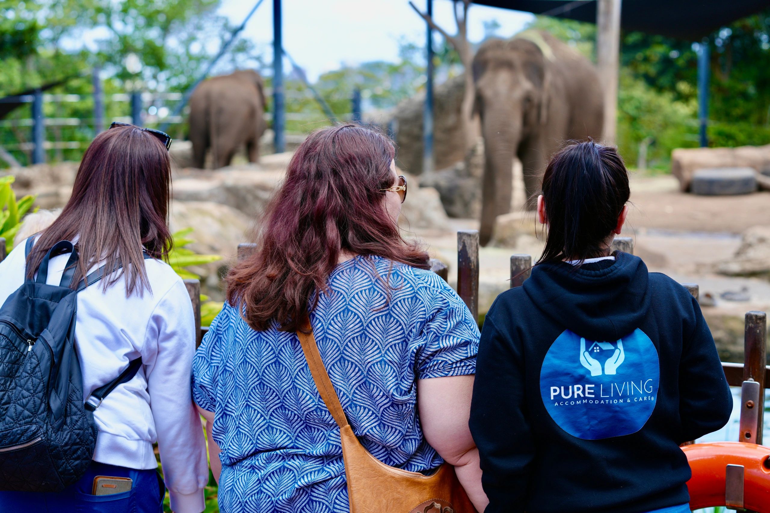 The Team | Pure Living Accommodation and Care