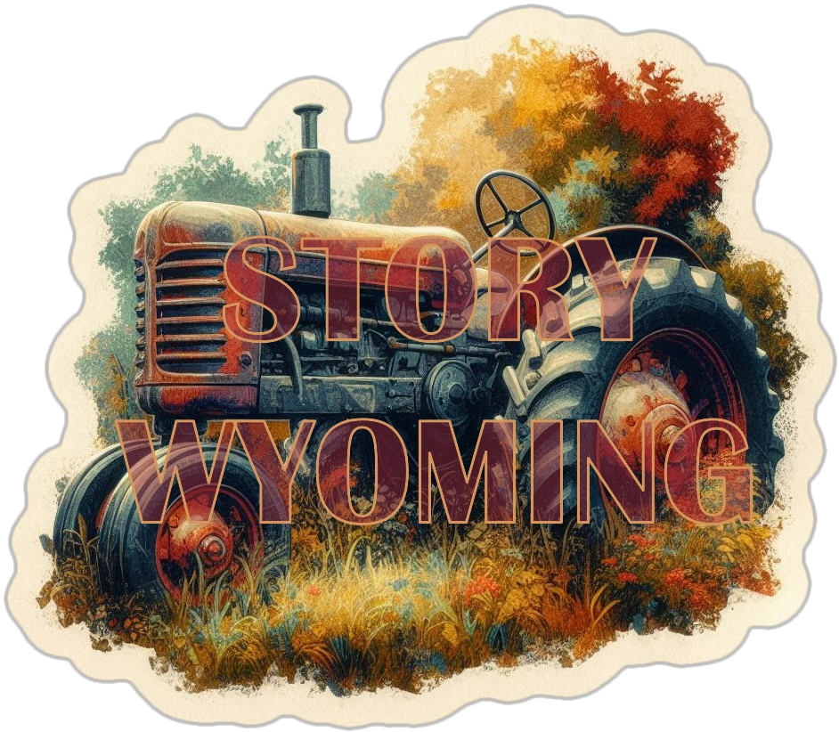 Explore the Beauty of Wyoming's Bighorn Mountains National Park Story