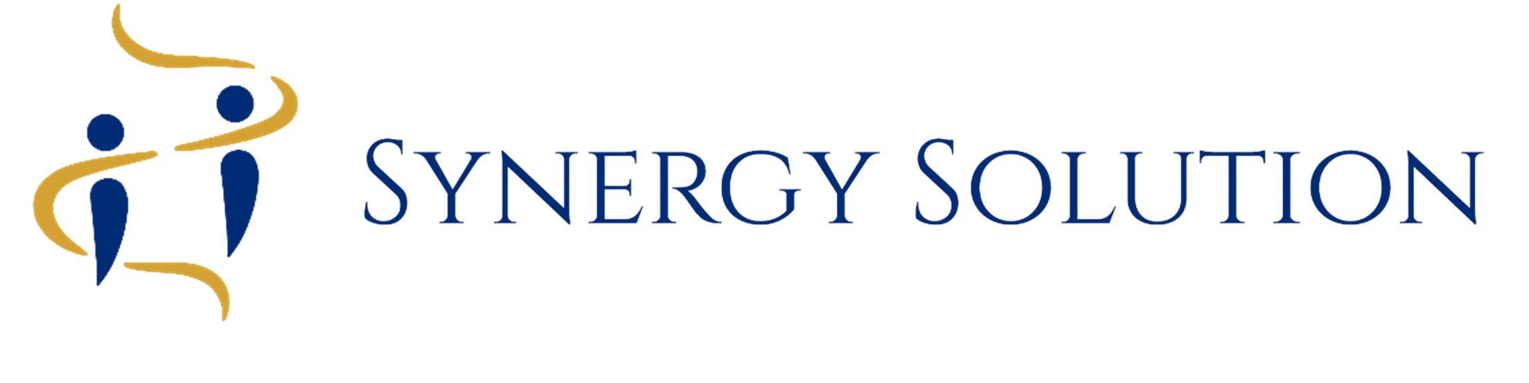 Synergy Solution