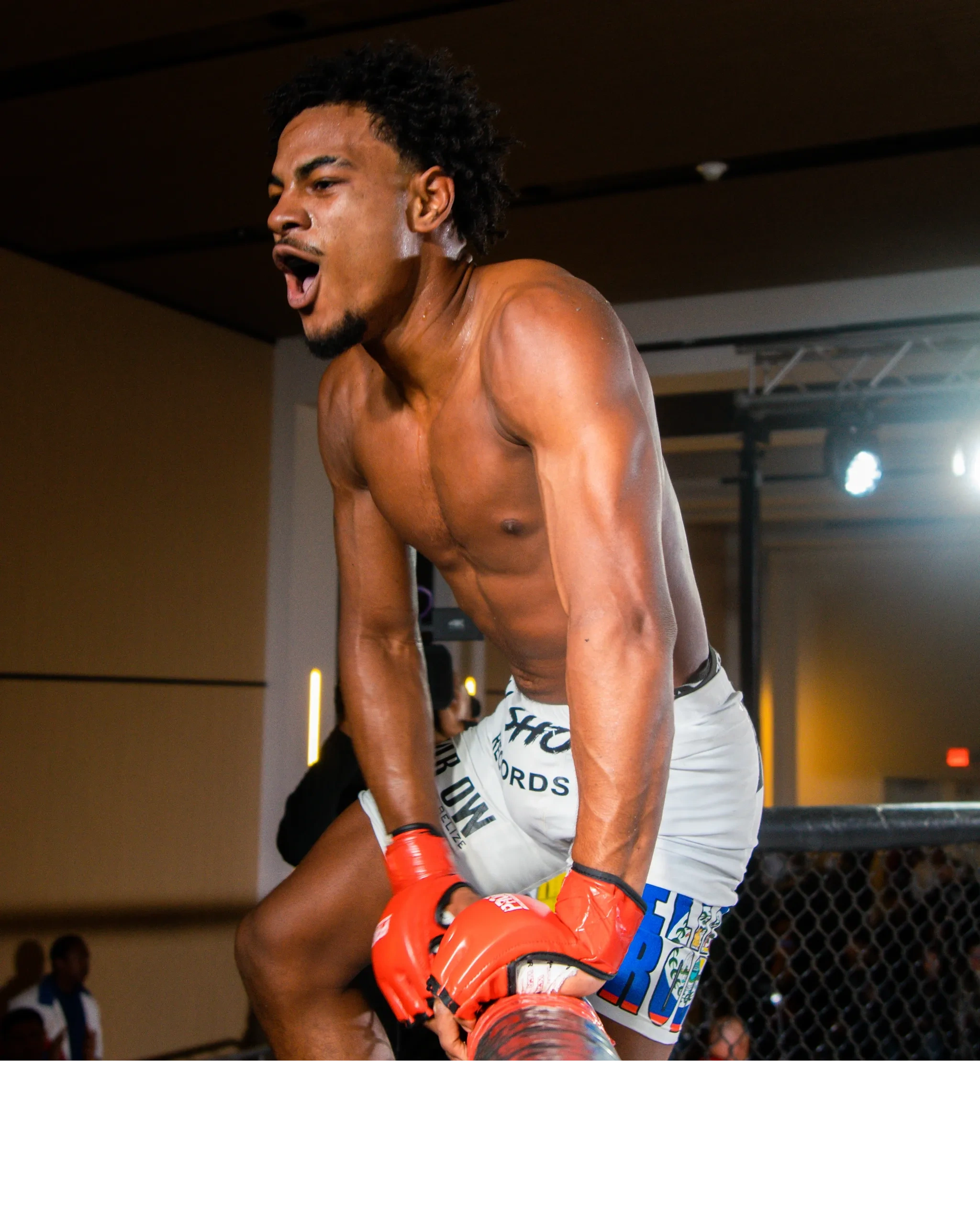 PROFC Belize MMA LTD. The Premier Mixed Martial Arts Promotion in ...