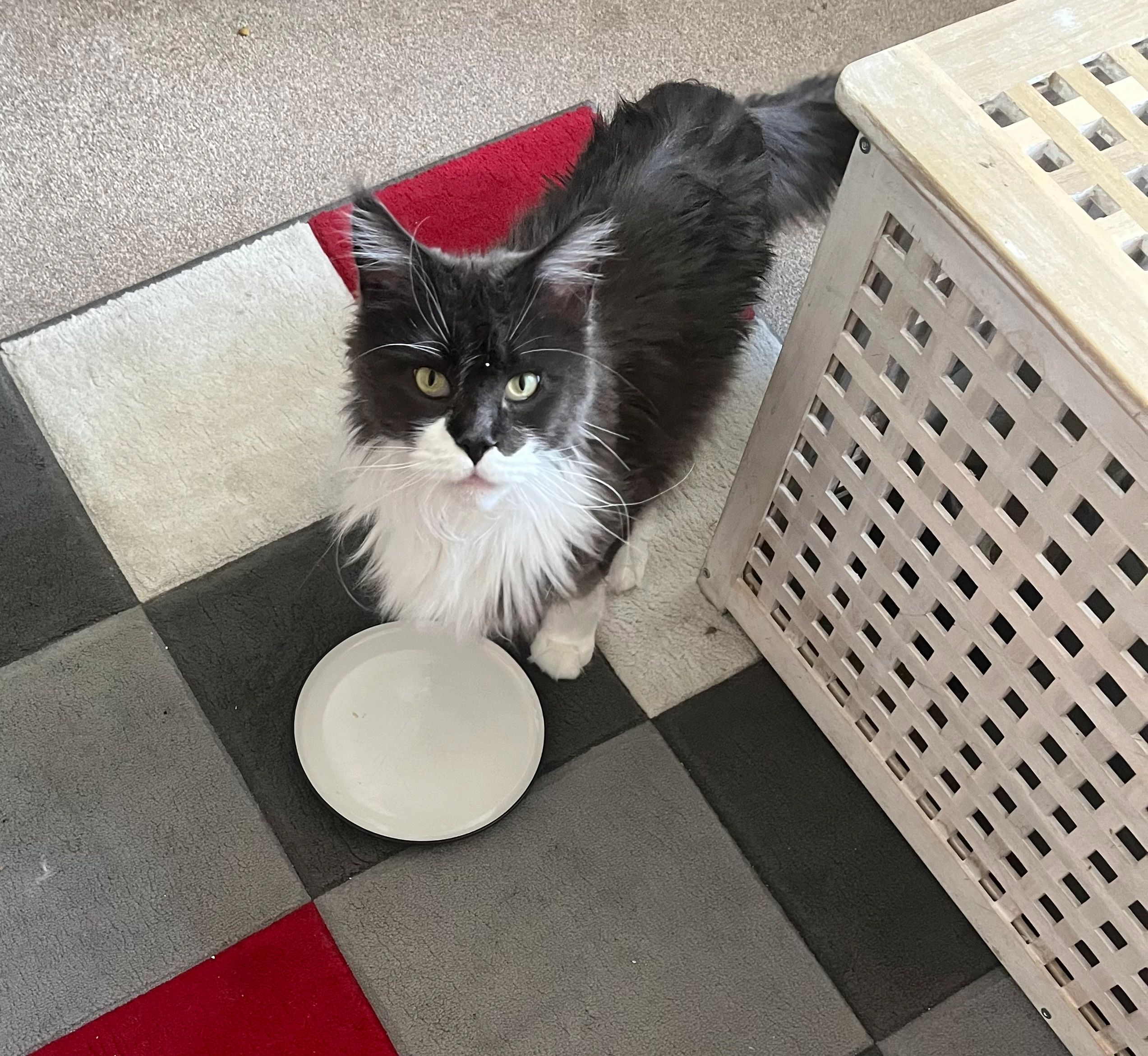 The Benefits of Control Unleashed Pattern Games