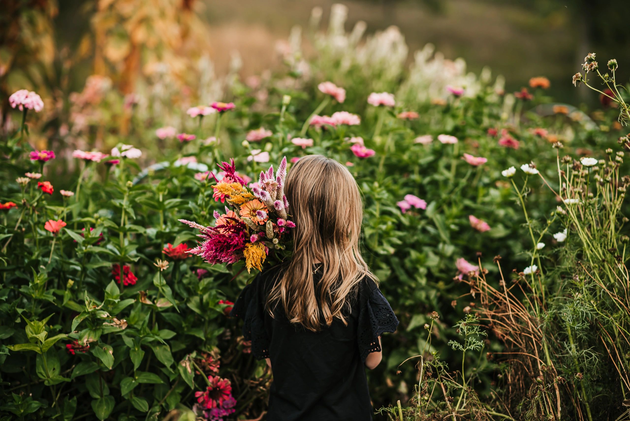 Fresh Cut Flowers & Bouquets | Farm Fresh Flower Farm