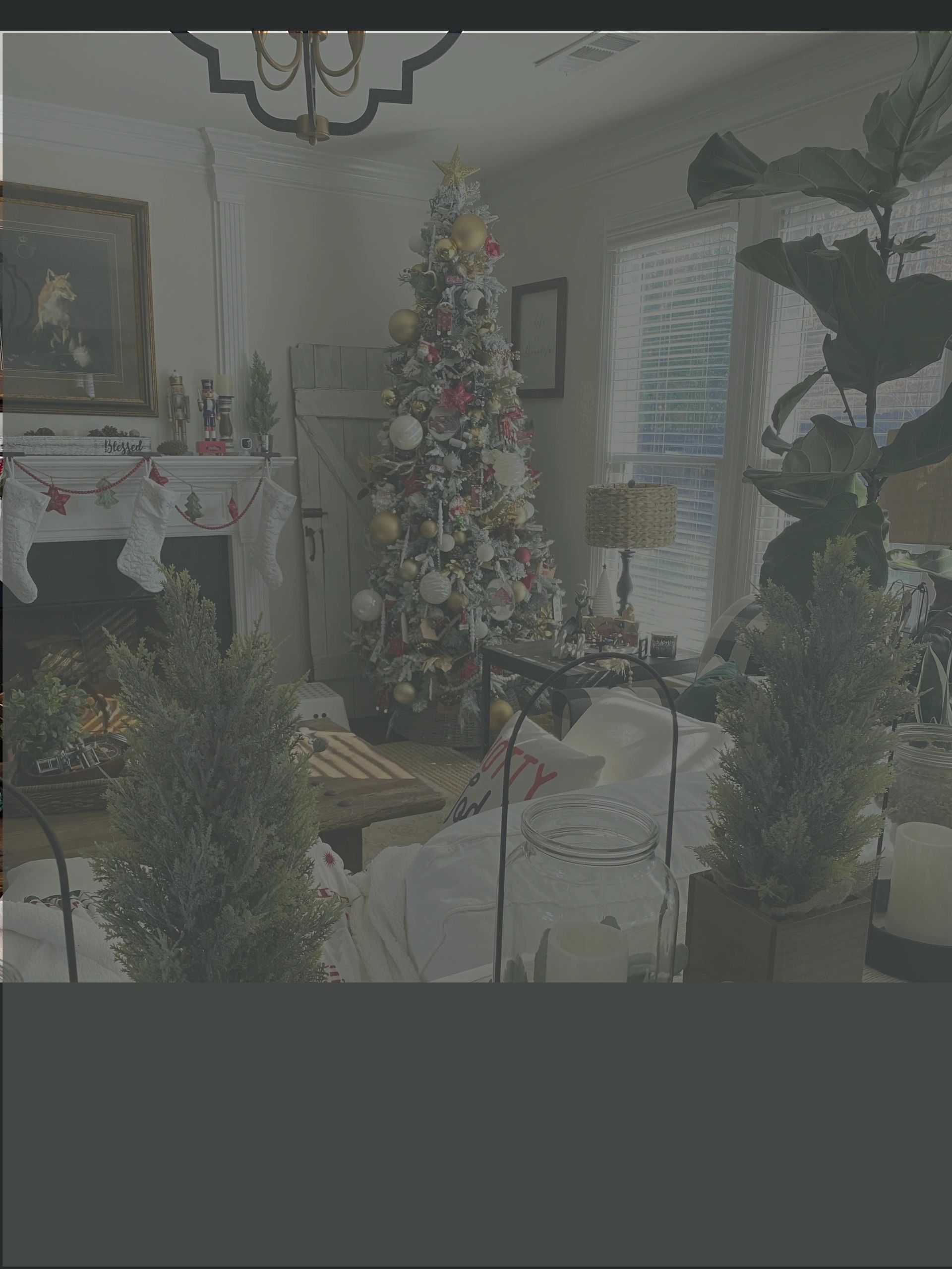 Rusty Dog Trading Company