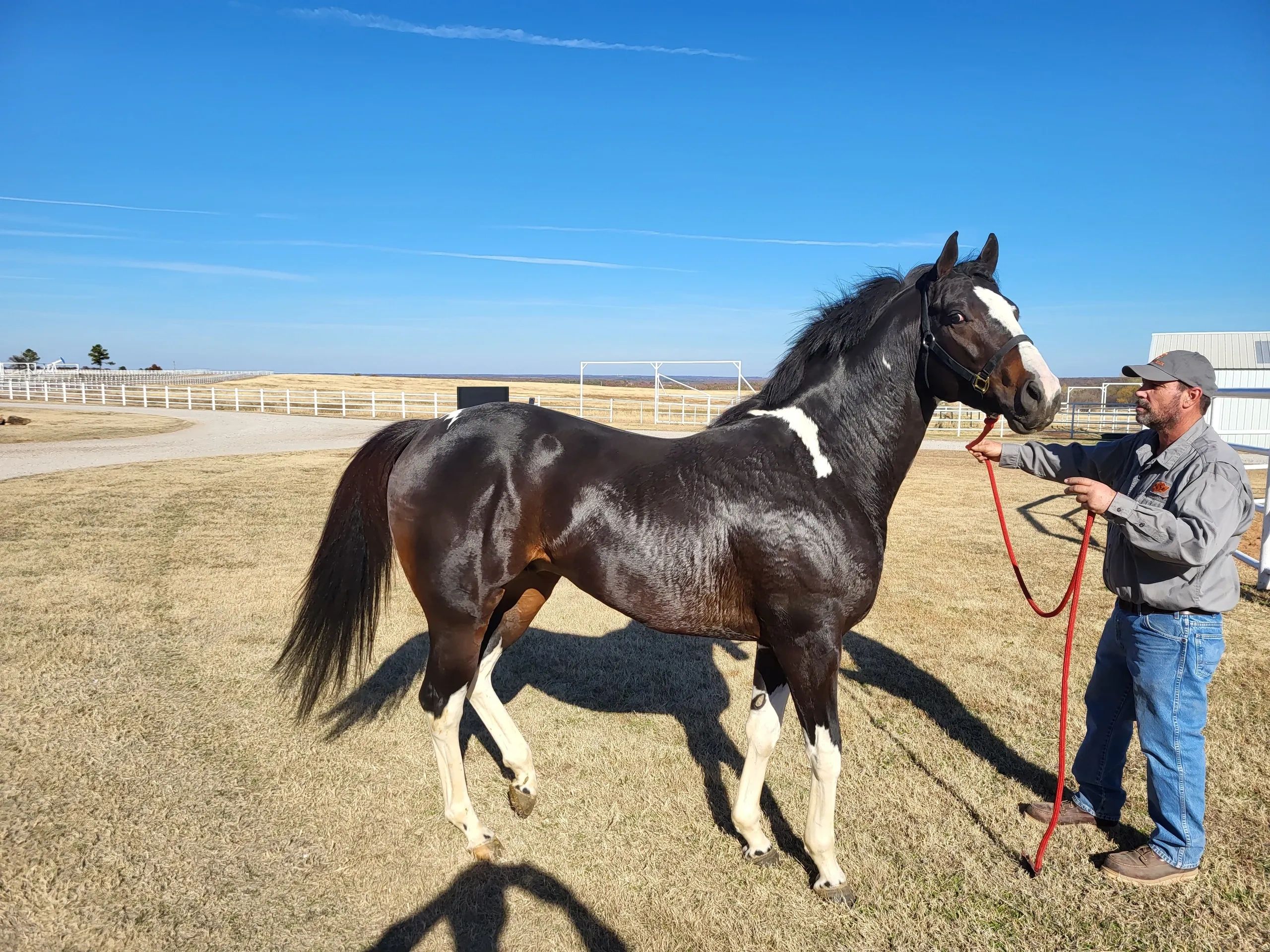 Breeding Information