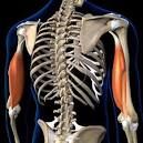 Kettlebells are Great for Training Your Triceps