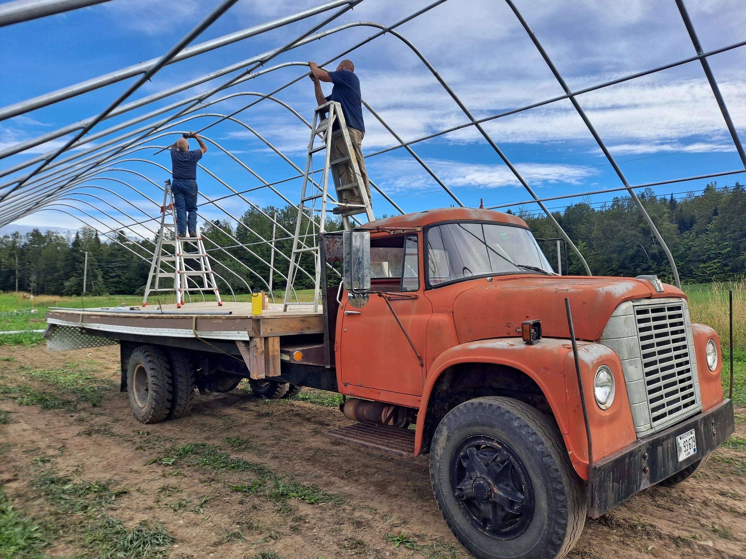Freckle Farm - Strawberry, Family, Children and Families