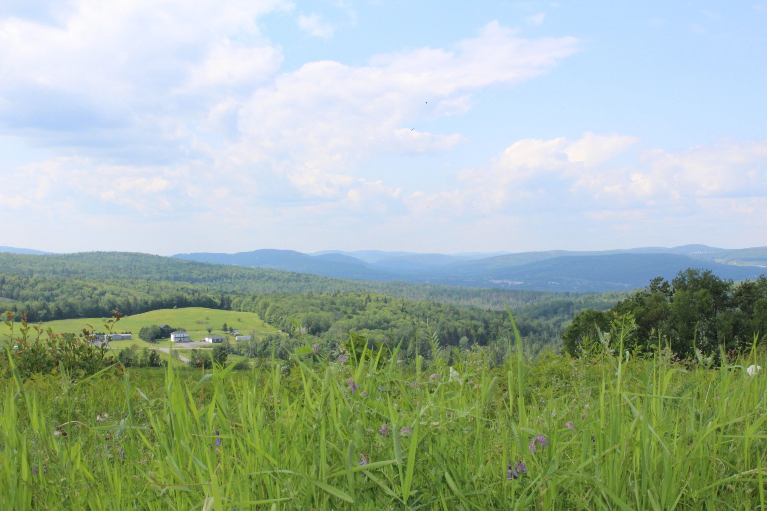 Freckle Farm - Strawberry, Family, Children and Families