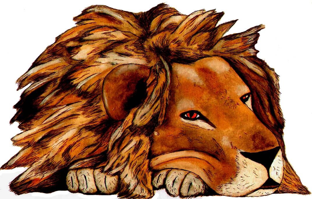 Jenna Catton Illustrations - Illustration, Artist, Storytelling