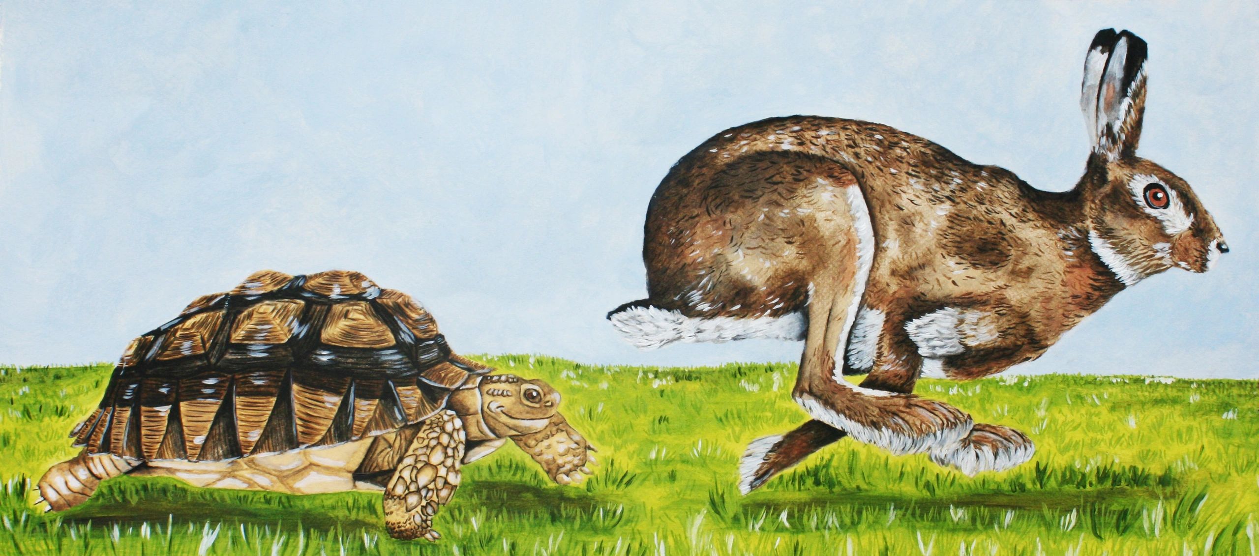 Jenna Catton Illustrations - Illustration, Artist, Storytelling