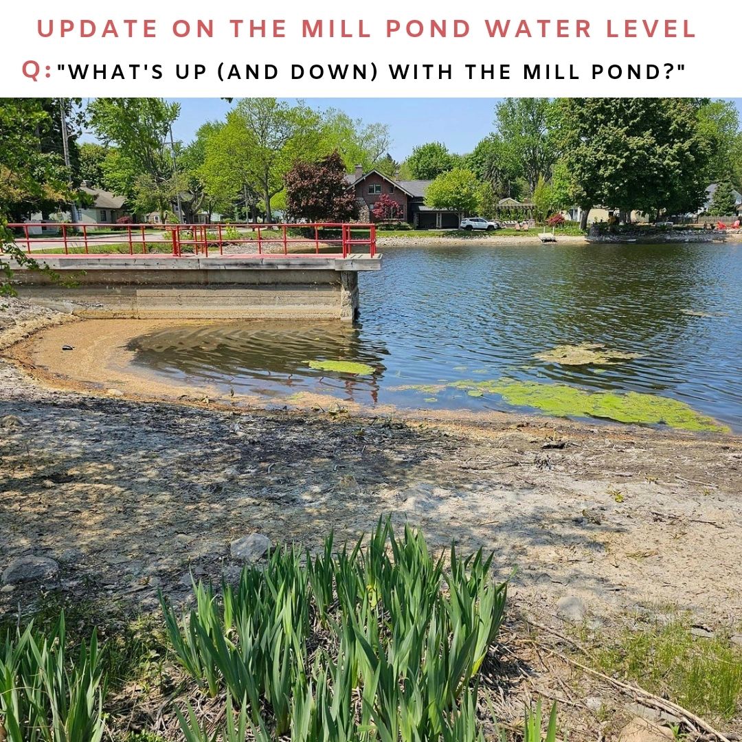 Update on The Mill Pond