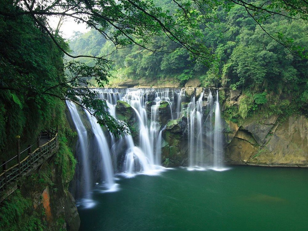 Watering Life Psychotherapy | Therapy Services