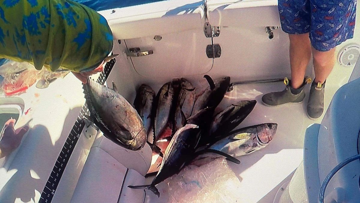 4.5 hour Near Shore Trolling Charter