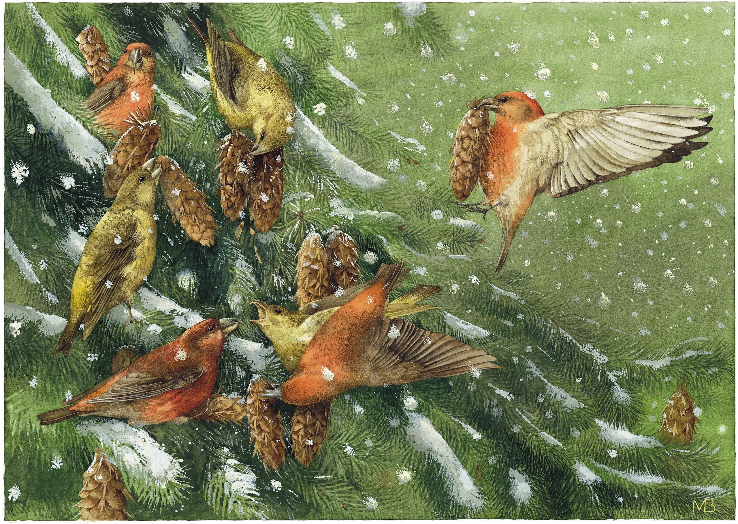 Wild Bird Art by Marjolein Bastin: Capturing the Beauty of Wildlife