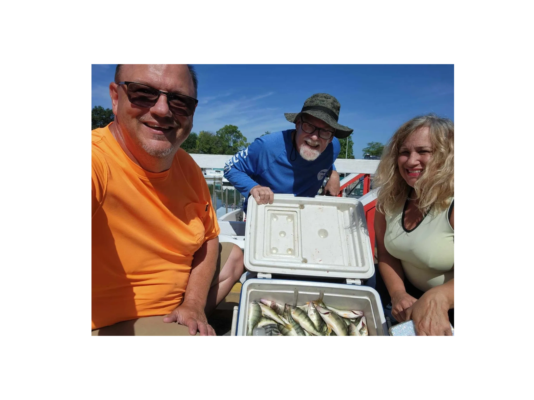 The School of Perch