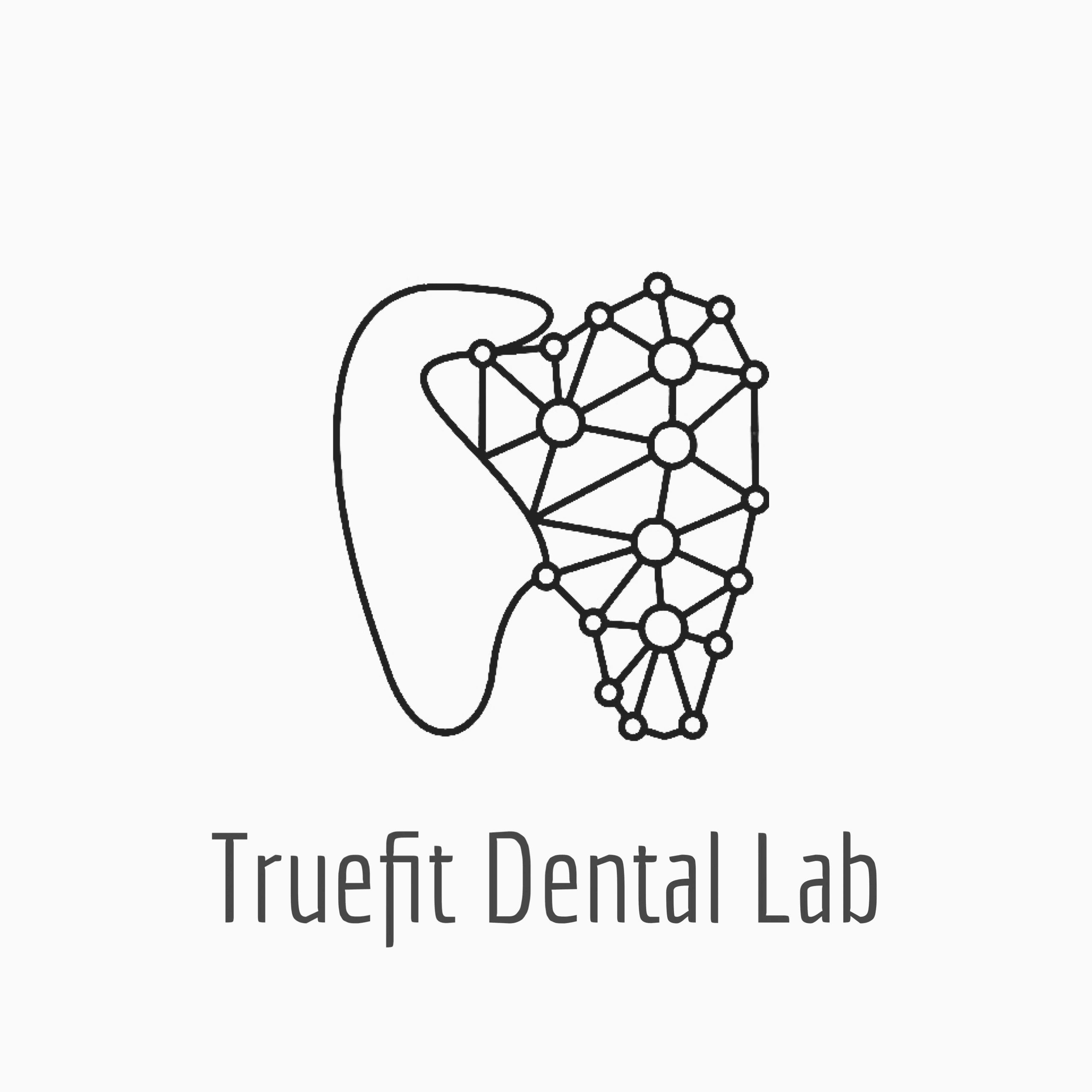 True Fit Logo TransChicago Truck Group