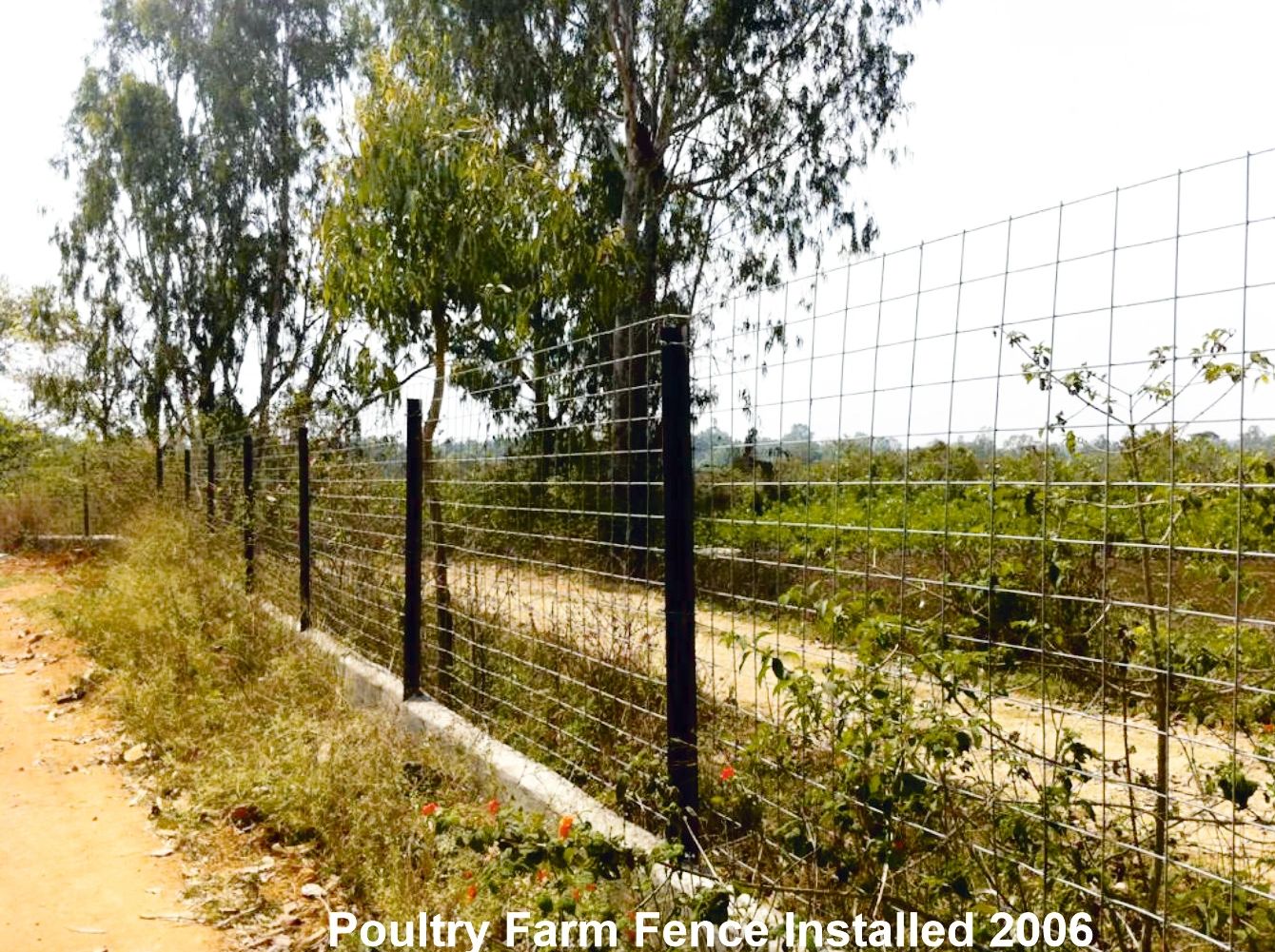 Fencing Mesh