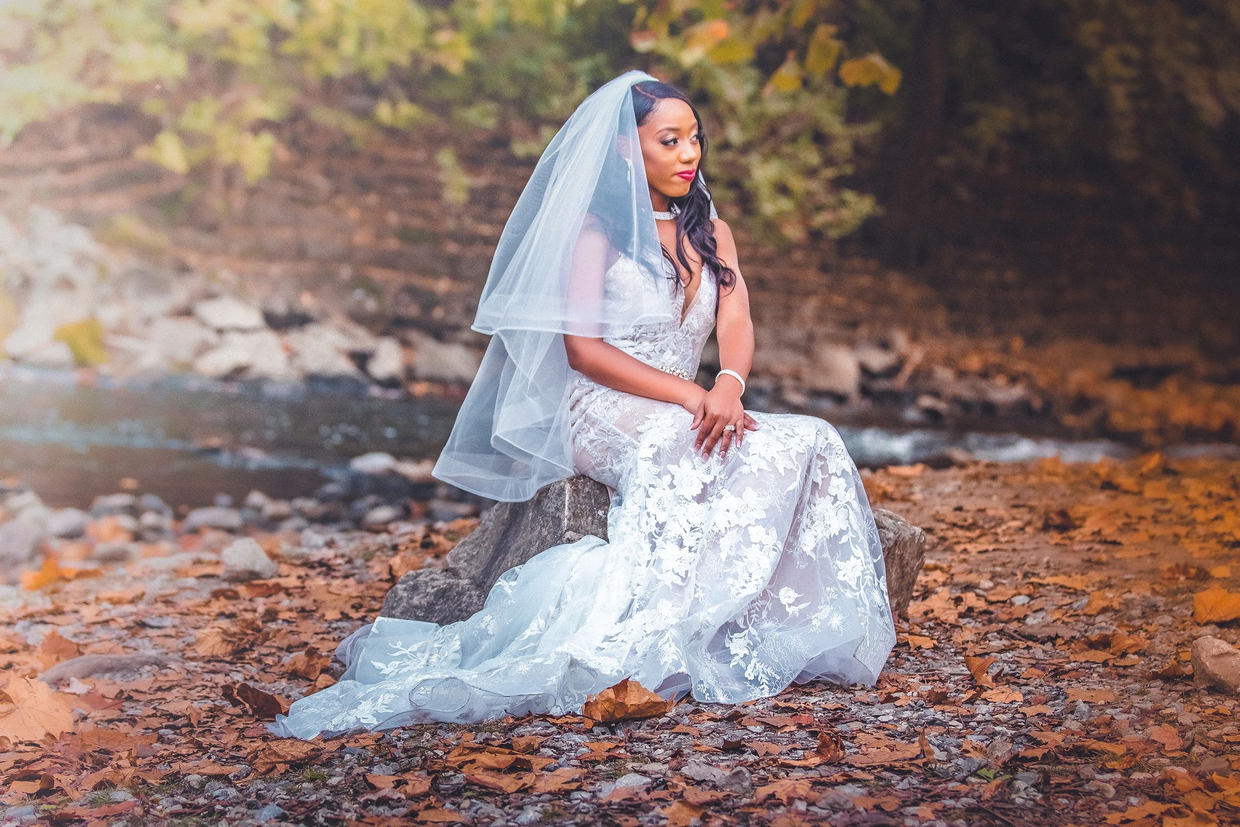 Phillips Photography & Videography