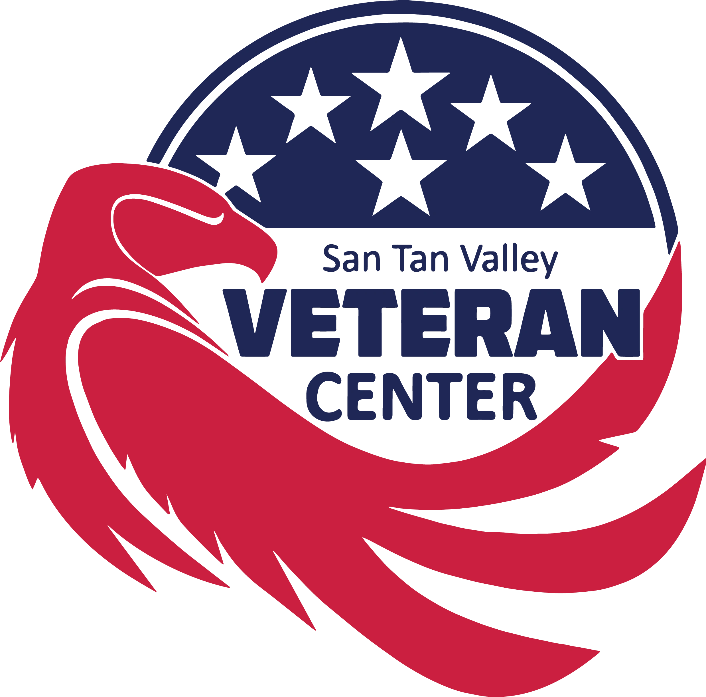 HOME [stv-veteranscenter.com]