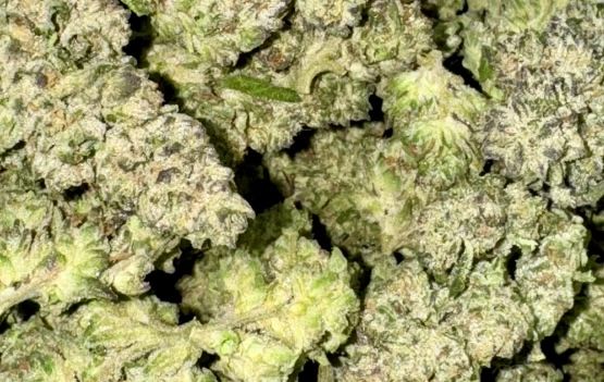 Garlic Cake THCa Flower