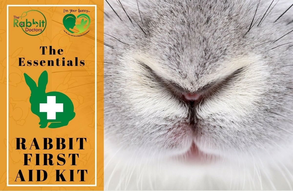 Bunny First Aid