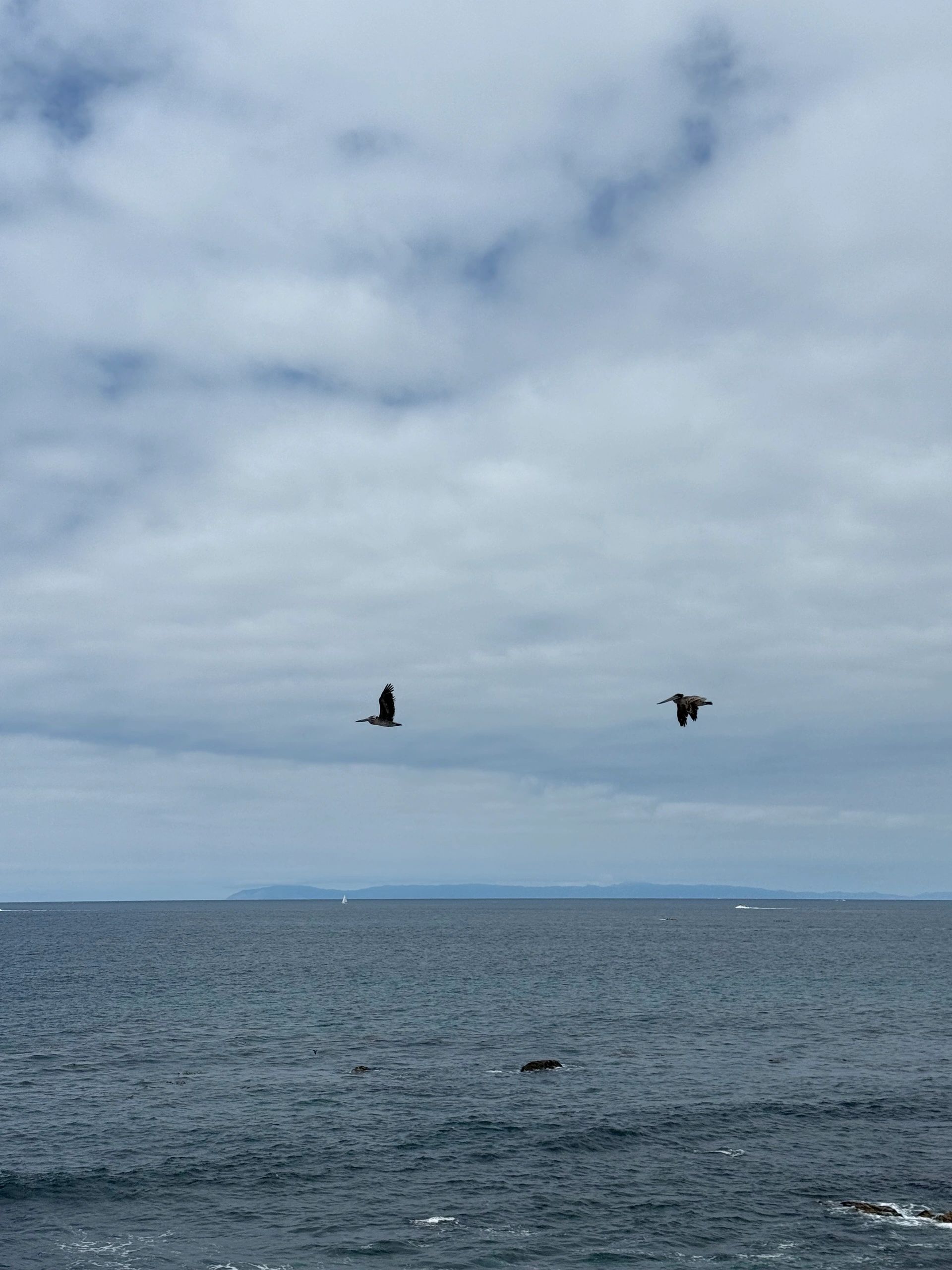 8 Sheet Color of the Creation: Spectrum & Kokomo Glass Pack