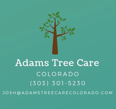 Adams Tree Care | Adams Tree Care