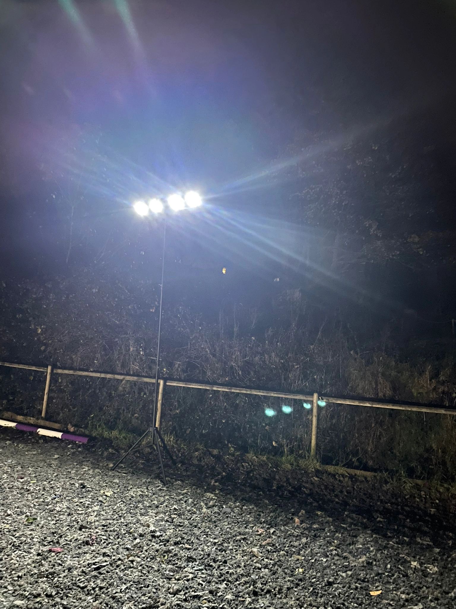 Affordable Solariums - Equine Solariums, Equine Portable Showers