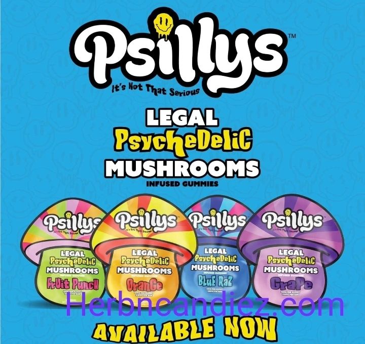 Psillys Legal Mushroom Gummies