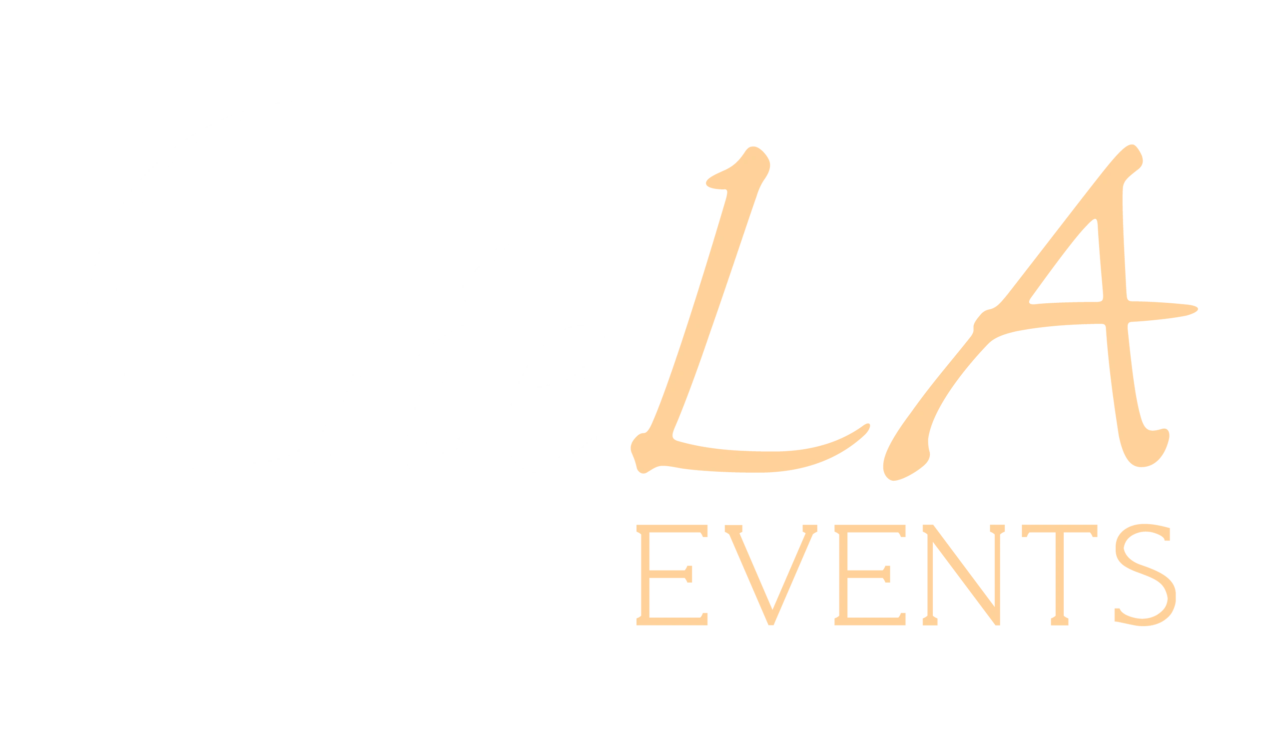 Top Event and Party Planning Services | Ciela Events