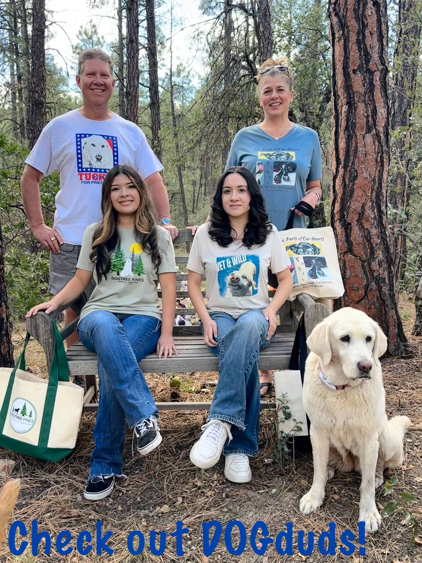 Dogtree Pines Senior Dog Sanctuary