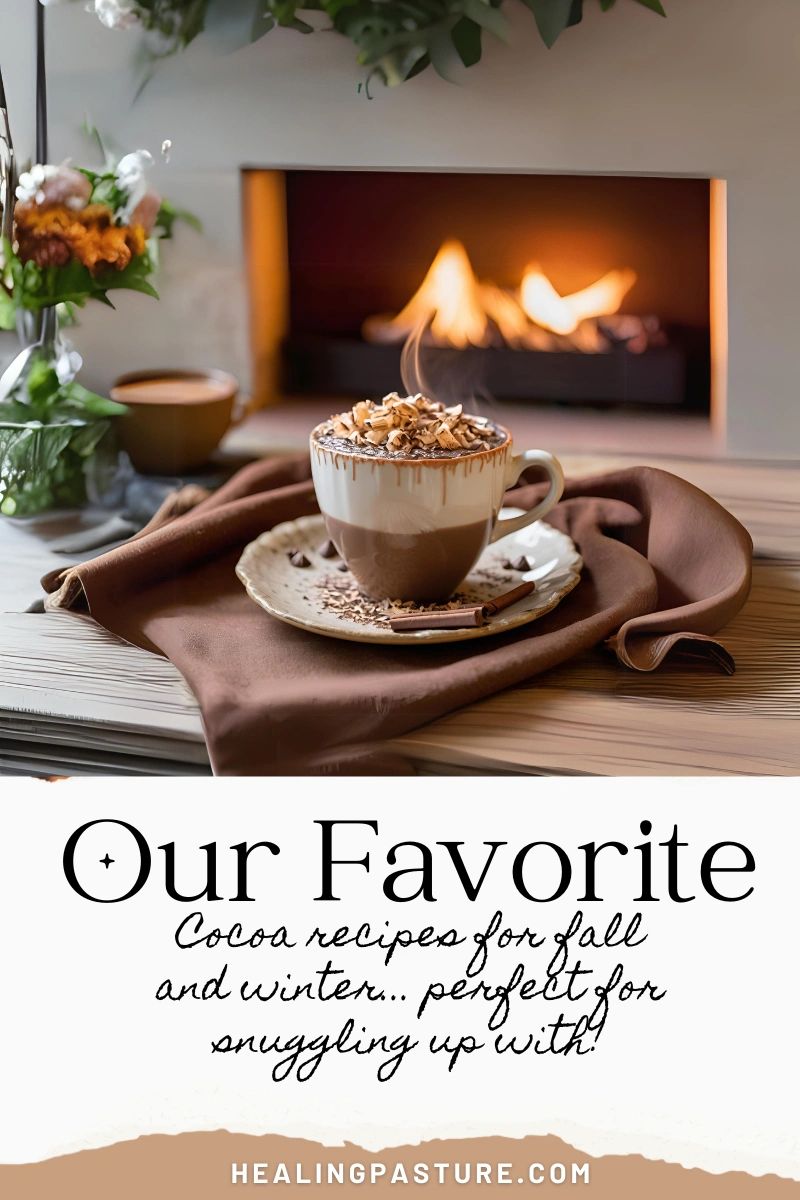 Embracing Healing Weather and Cozy Cocoa Recipes
