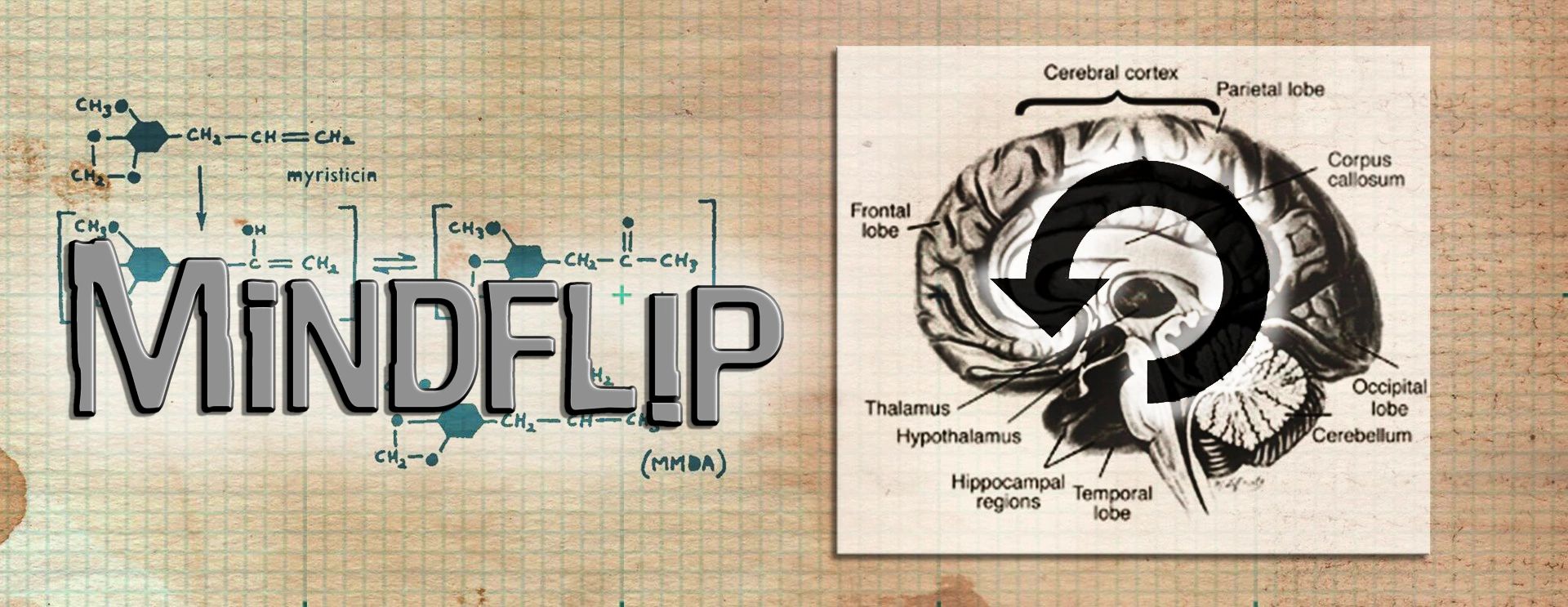 Mindflip