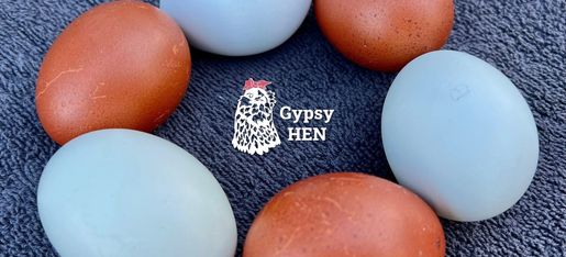 GypsyHenPoultry