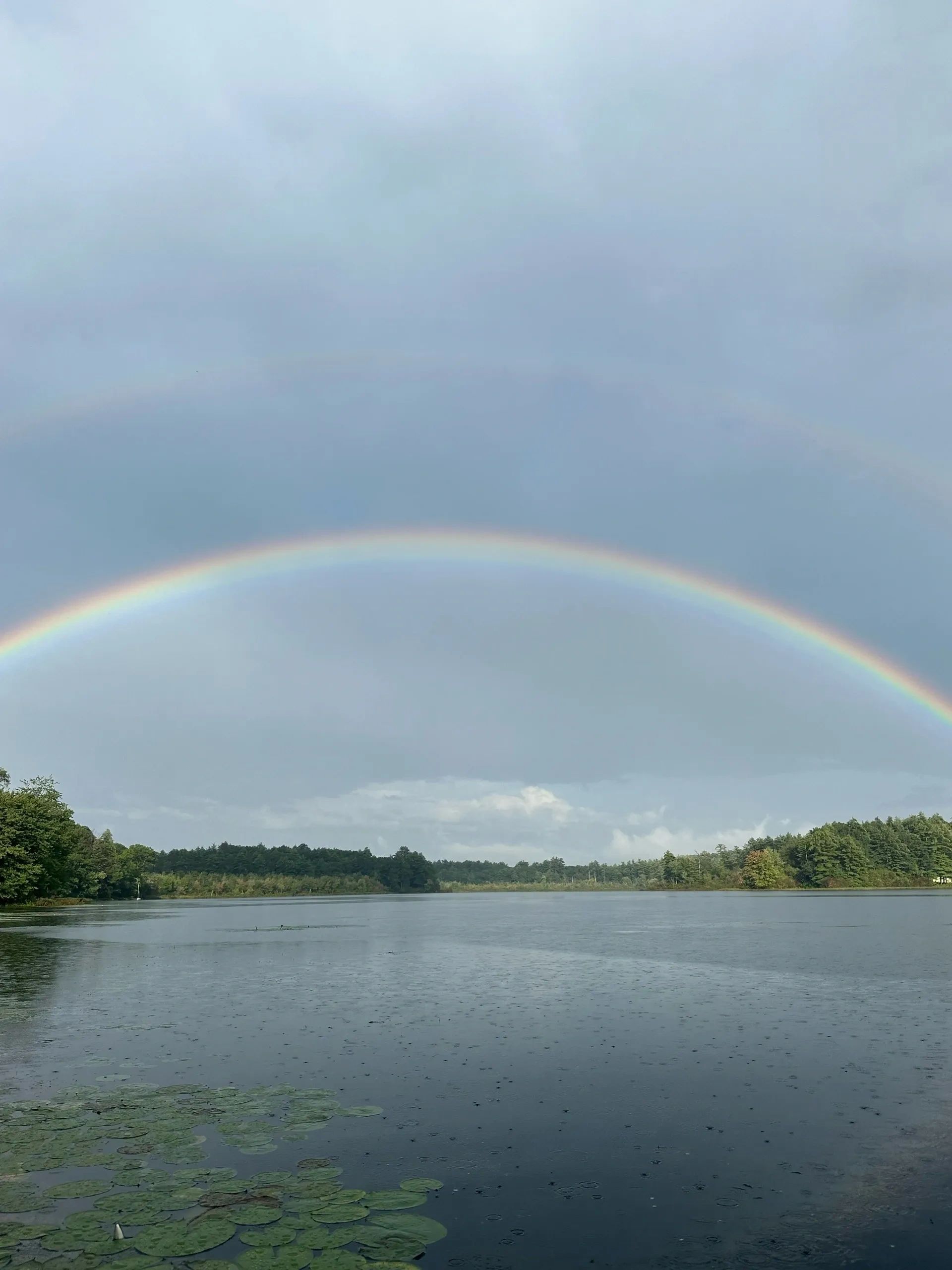 Our Animal Community