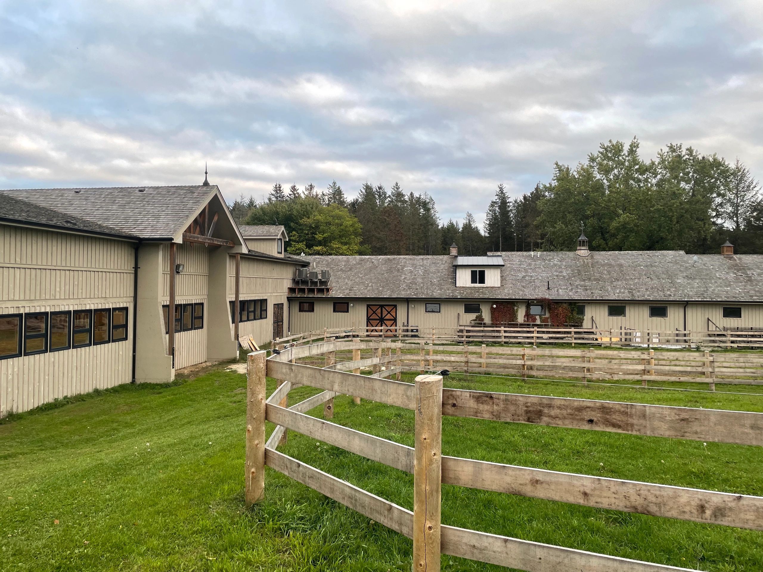 Hunter Jumper Training and Sales - LynnRose Stables