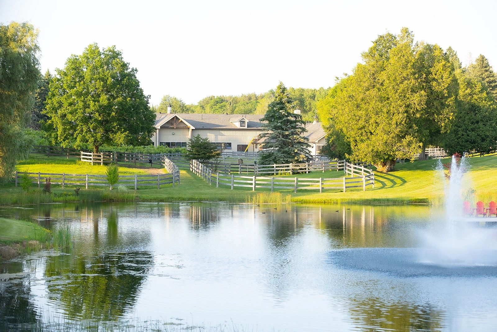 Elite Equine Boarding - LynnRose Stables